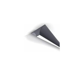 LUMIPRO Ø42X100MM SURFACE PROFILE